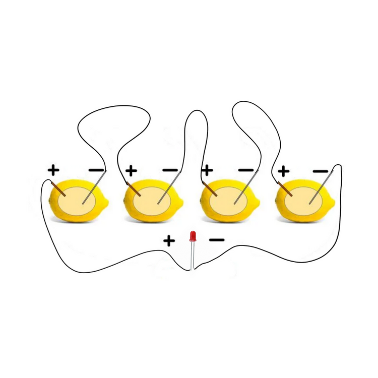 Fruit-Powered Battery STEM Box | Fun & Eco-Friendly Learning with STEM ...